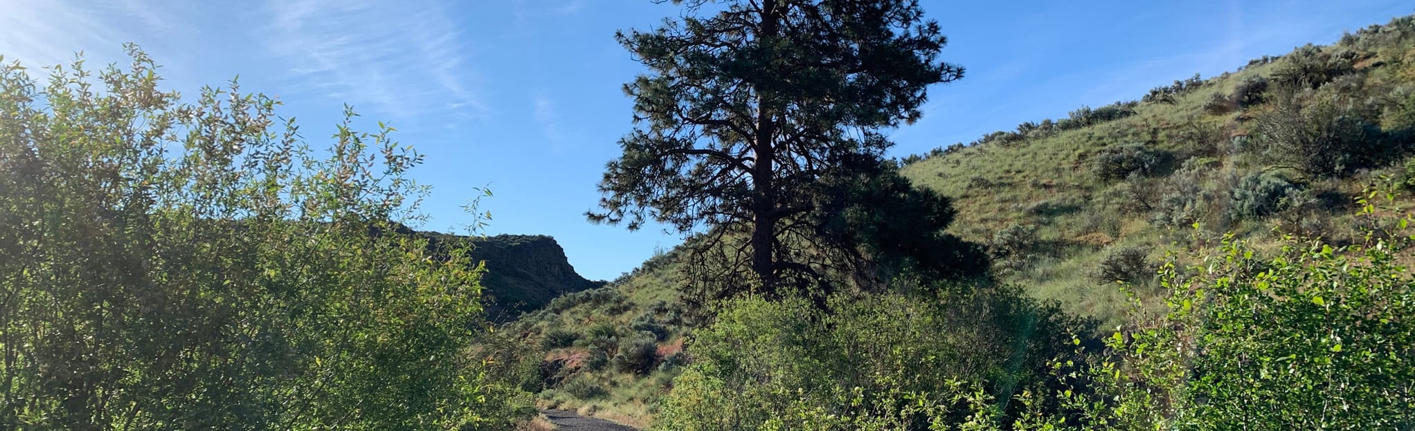 Cowiche Canyon Trail | Map, Guide - Washington | AllTrails