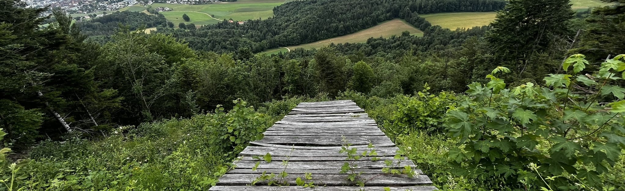 Develier - Delemont, Jura, Switzerland - 4 Reviews, Map | AllTrails