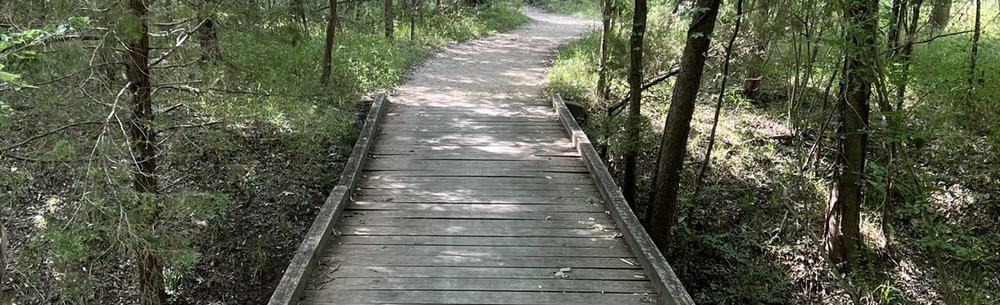 Stephen F. Austin Nature Trail: 8 Reviews, Map - Texas | AllTrails