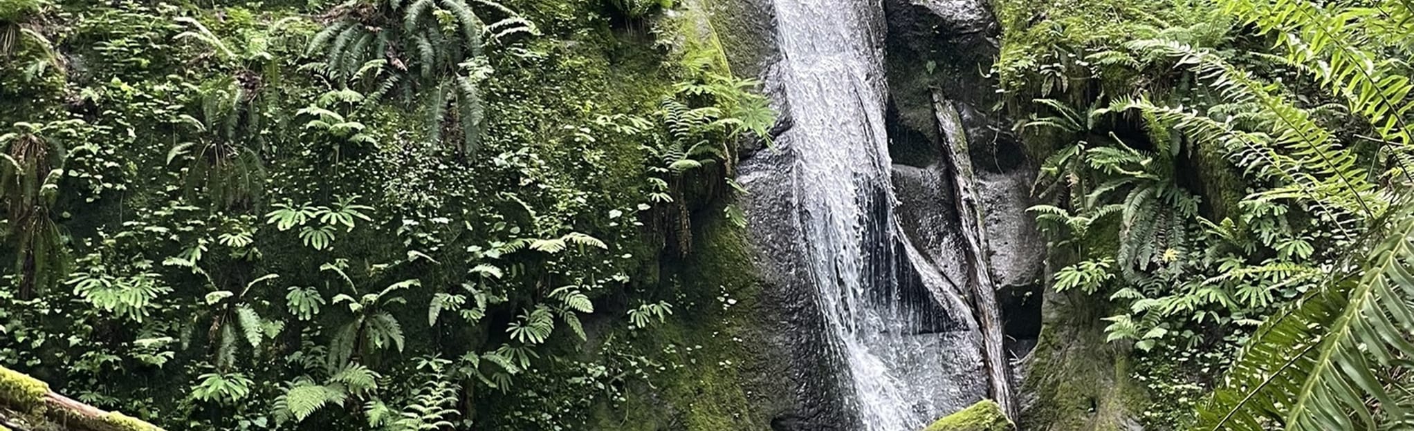Chuckanut Falls - Washington | AllTrails