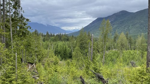 2023 Best 10 Trails and Hikes in Sechelt | AllTrails