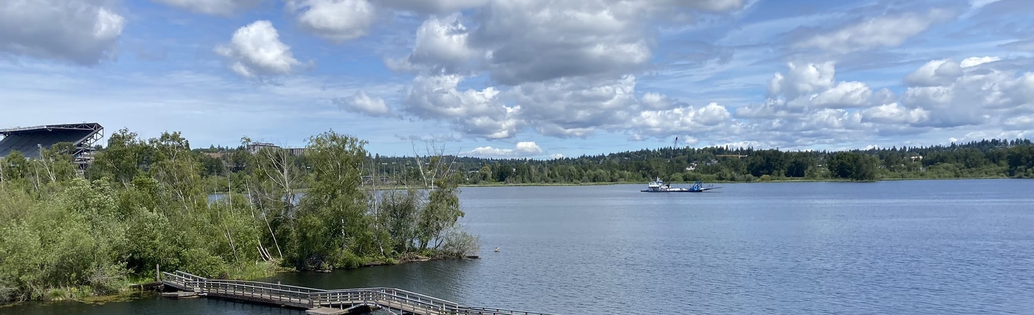 WA 520 Trail, Washington - 629 Reviews, Map | AllTrails