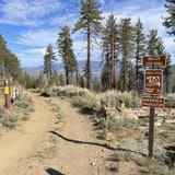 Lockwood/Miller OHV Trail, California - 137 Reviews, Map | AllTrails