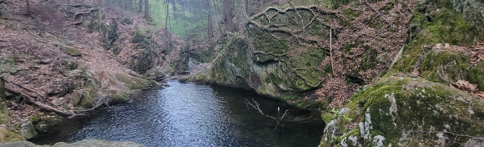 Pitcher Brook to Laurel Lane Circuit, Massachusetts - 184 Reviews, Map ...