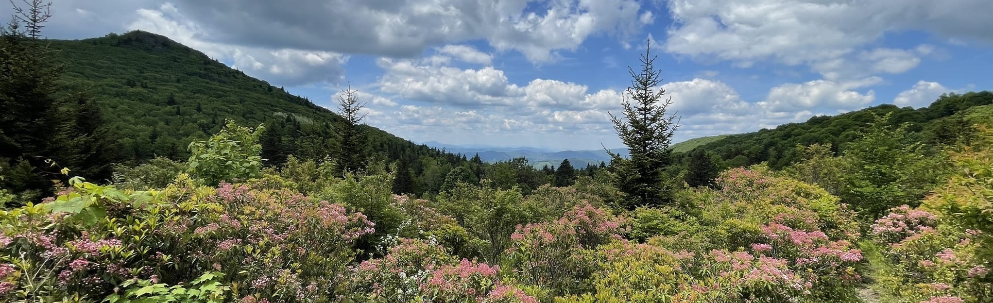 Mount Rogers, Pine Mountain Trail, and Wilson Creek Trail Loop ...