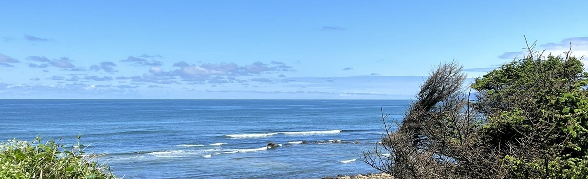 Cape Meares Viewpoint and Octopus Tree Trail, Oregon - 242 Reviews, Map ...