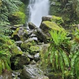 Merriman Falls, Washington - 141 Reviews, Map | AllTrails
