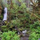 Merriman Falls, Washington - 141 Reviews, Map | AllTrails