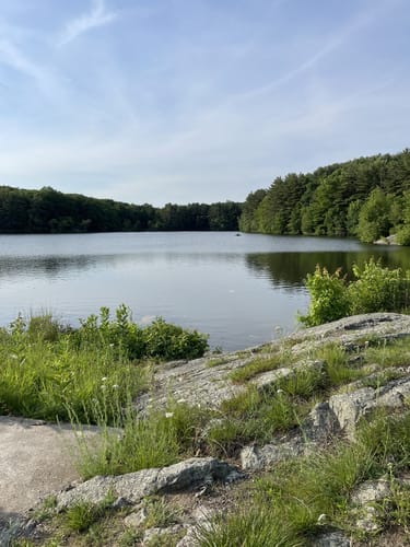 Best Hikes and Trails in Regional Water Authority Maltby Lakes | AllTrails