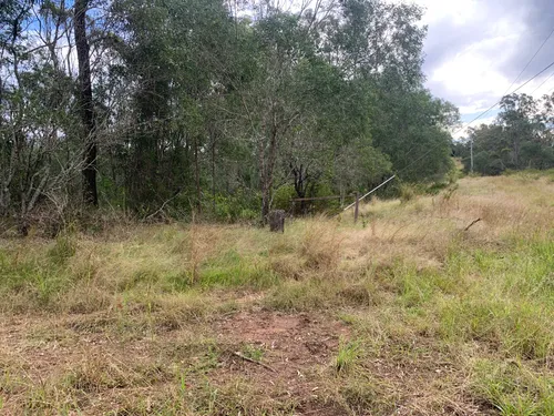 Best Hikes and Trails in Kholo Road Park | AllTrails