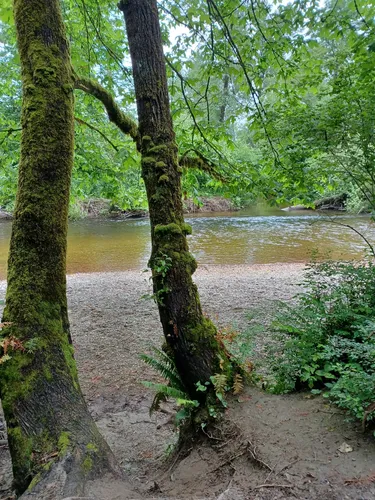 10 Best Trails and Hikes in Port Coquitlam | AllTrails