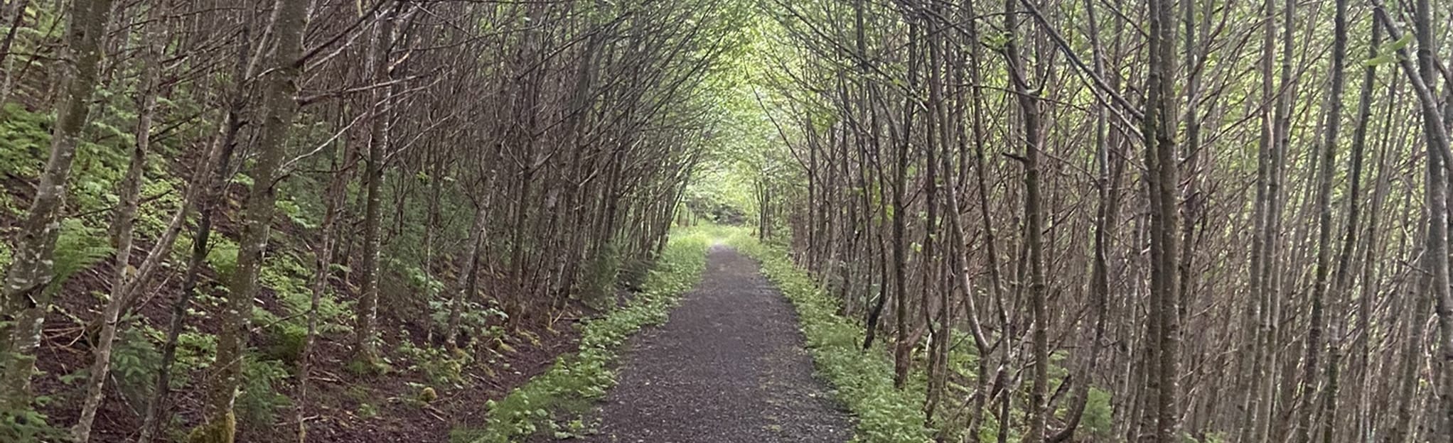 Lemon Creek: 50 Reviews, Map - Alaska | AllTrails