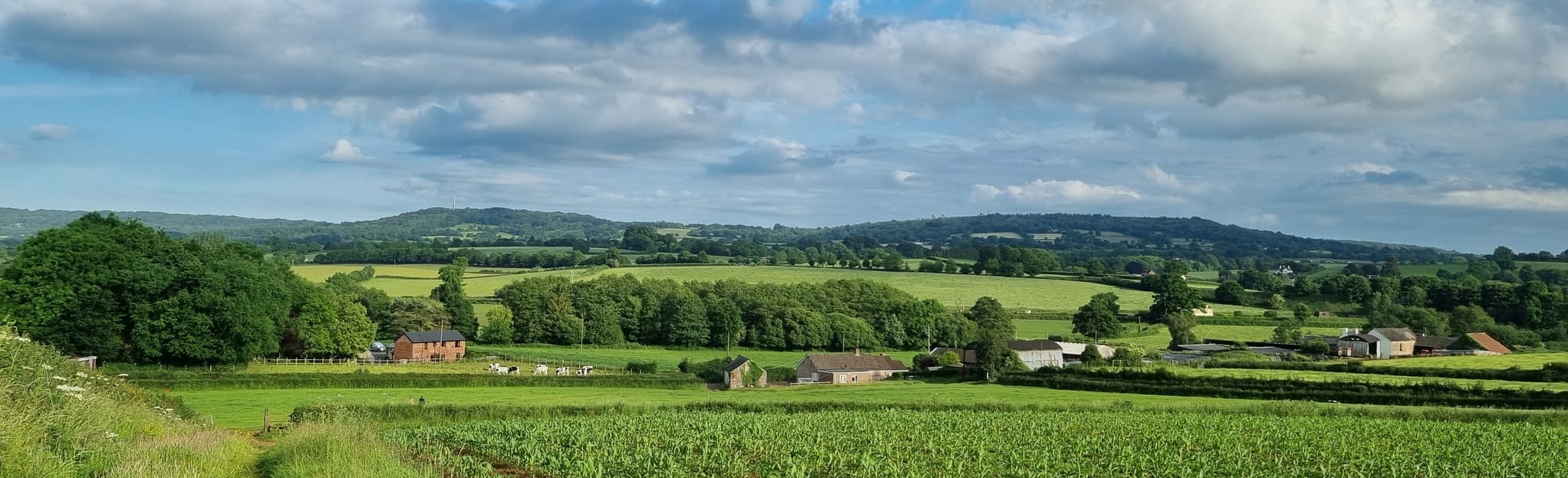 Wellington and Holywell Lake Canal Circular: 20 Reviews, Map - Somerset ...