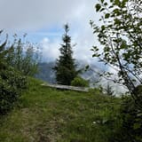 Angora Peak, Oregon - 364 Reviews, Map | AllTrails