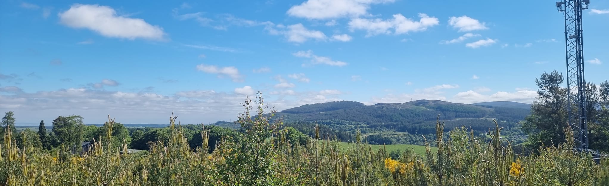 Bogbain Wood Circular: 5 Reviews, Map - Highlands, Scotland | AllTrails