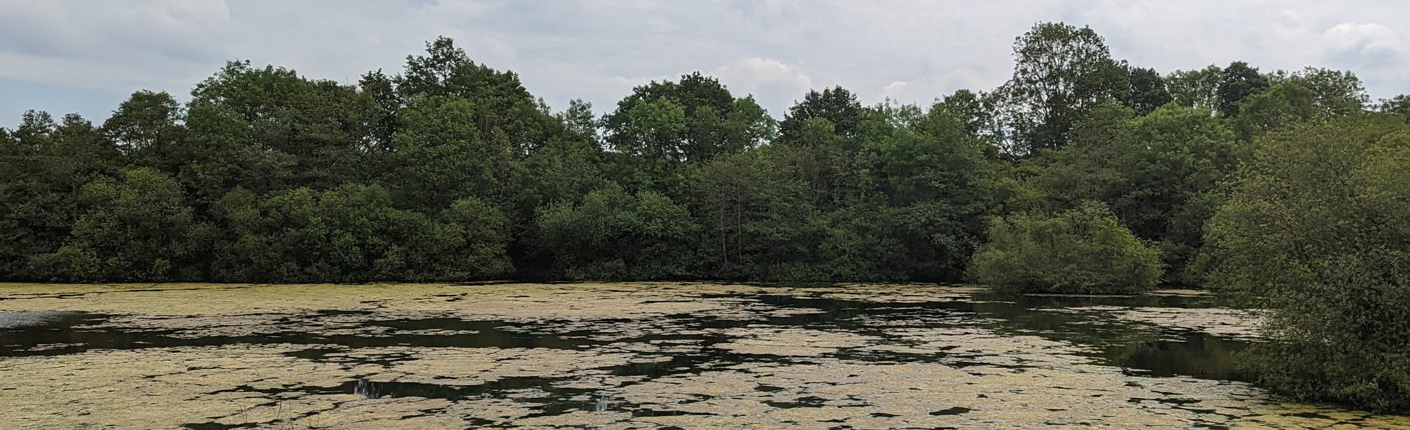 Longton East and West Circular: 0 Reviews, Map - Lancashire, England ...