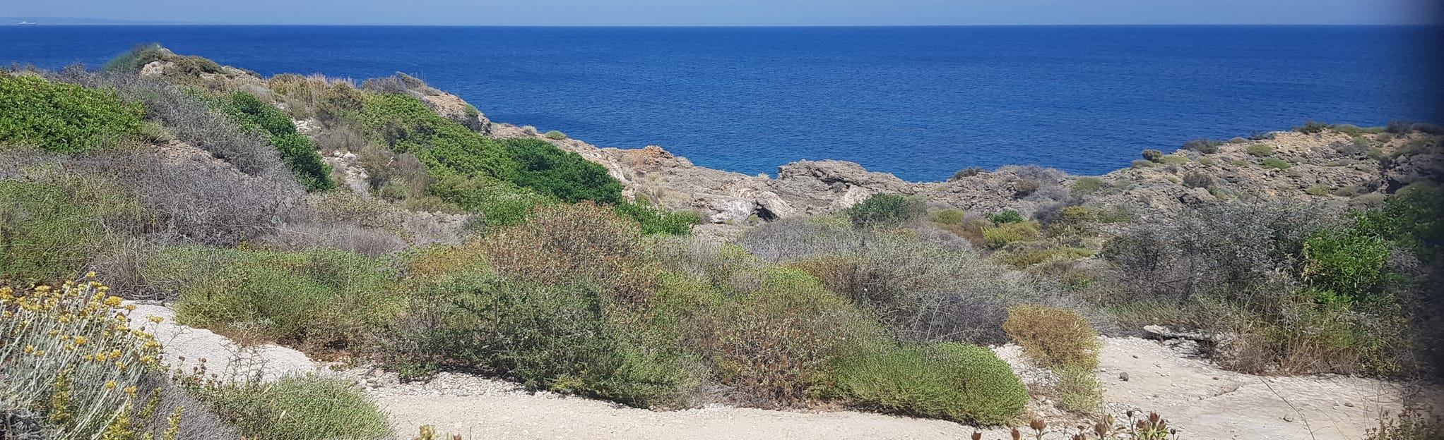 Porto Roma - Vasilikos - Gerakas Beach: 4 Reviews, Map - Zakynthos ...