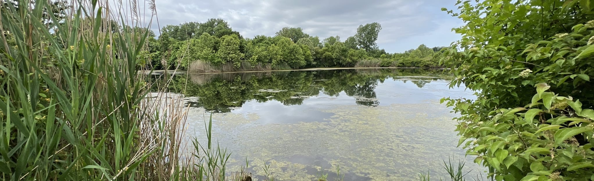 St Ellen Mine Trail, Illinois - 191 Reviews, Map | AllTrails