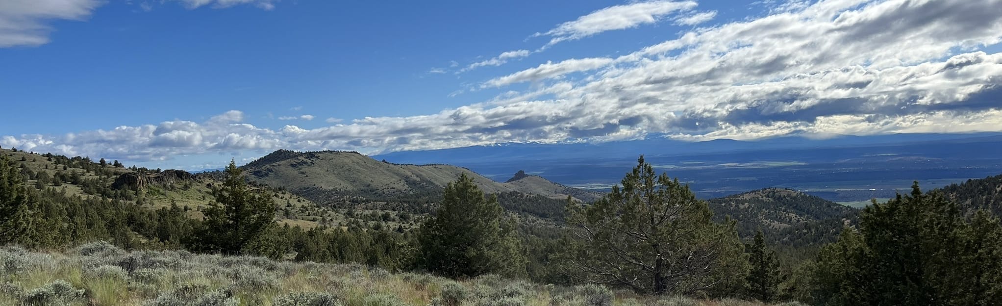 Gray Butte, Oregon - 165 Reviews, Map | AllTrails