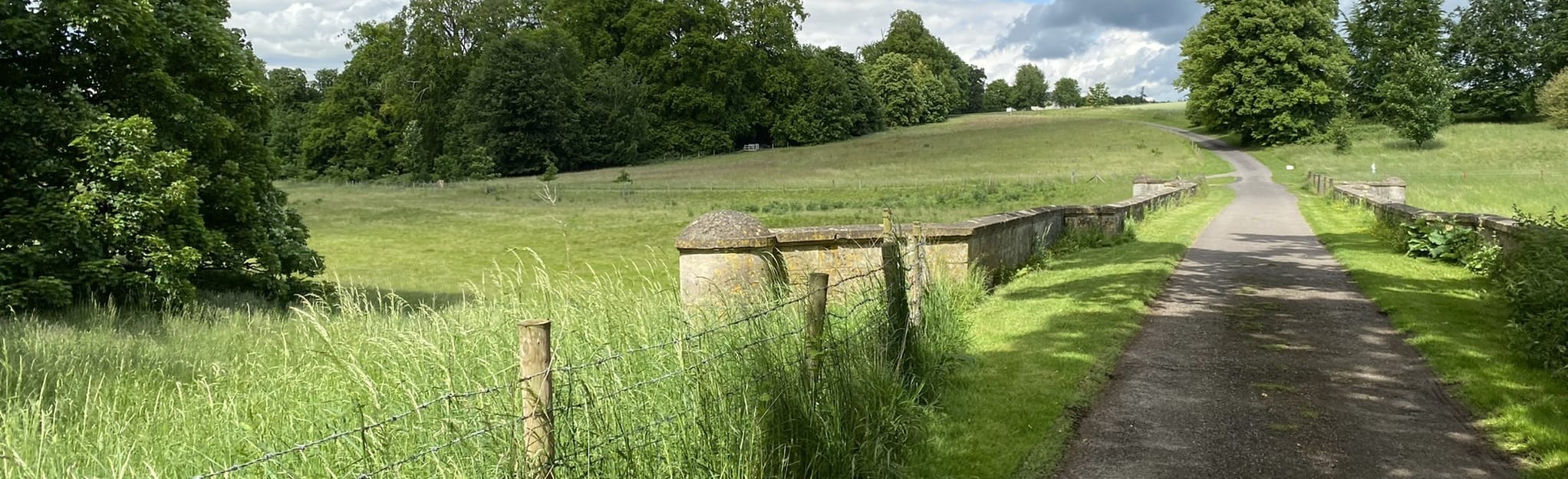 Hackwood Park: 153 foto's - Hampshire, England | AllTrails