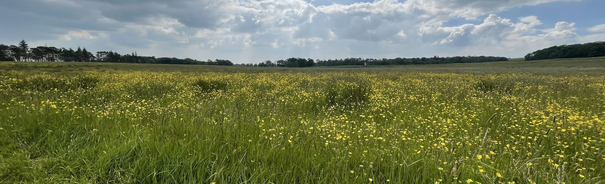 Calder Vale and Hazelhurst Fell, Lancashire, England - 13 Reviews, Map ...