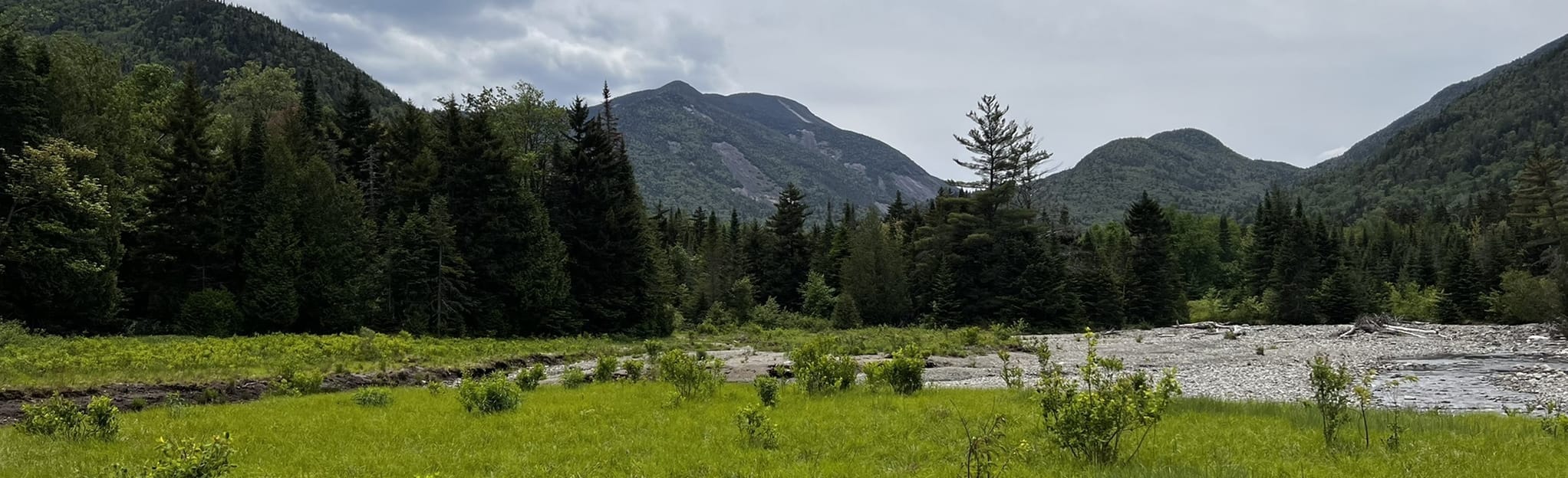 Marcy Dam Trail: 801 Reviews, Map - New York | AllTrails