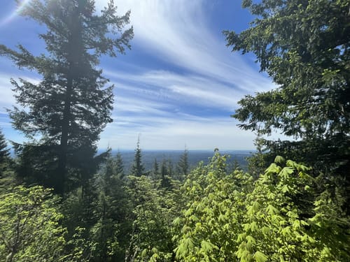 2023 Best 10 Moderate Trails in Squak Mountain State Park | AllTrails