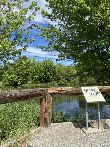 Best Hikes and Trails in Wenatchee Confluence State Park | AllTrails