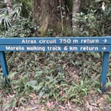 Morelia Walking Track, Queensland, Australia - 256 Reviews, Map | AllTrails