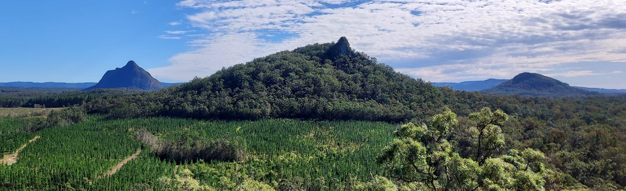 Jack Ferris Lookout via Trachyte Circuit, Queensland, Australia - 311 ...
