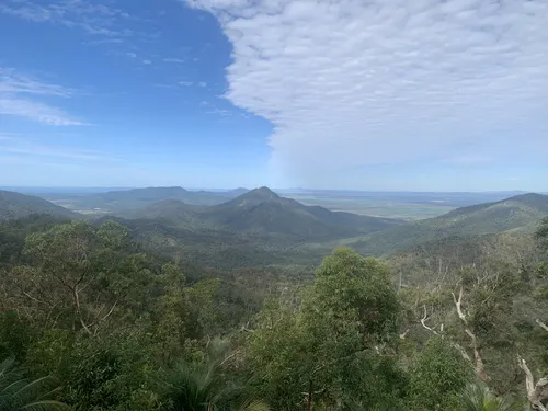 Best Trail Running Trails in Mount Archer | AllTrails