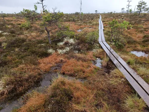 10 Best Hikes and Trails in Store Mosse National Park | AllTrails