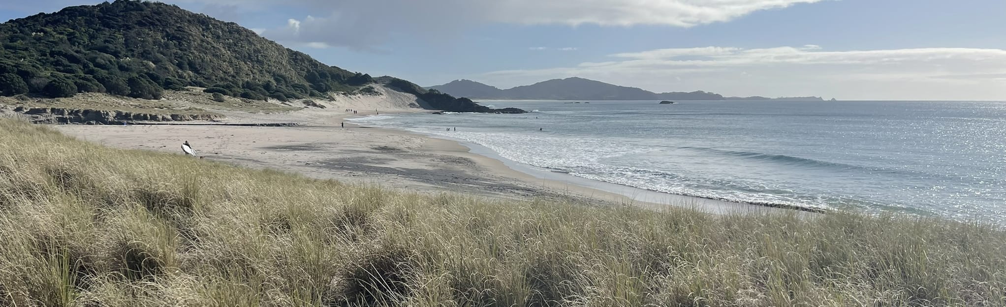 Bream Headland Loop Track, Northland, New Zealand - 97 Reviews, Map ...