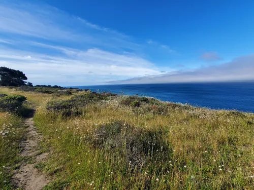 Best Hikes and Trails in Point Arena | AllTrails