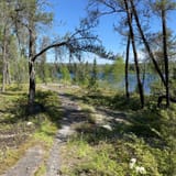 Ingolf Trail, Manitoba, Canada - 32 Reviews, Map | AllTrails