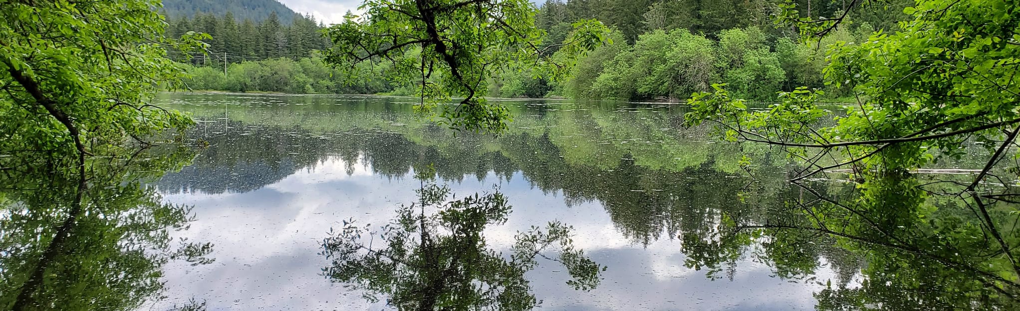 Tiger Mountain: Around the Lake Trail, Washington - 506 Reviews, Map ...