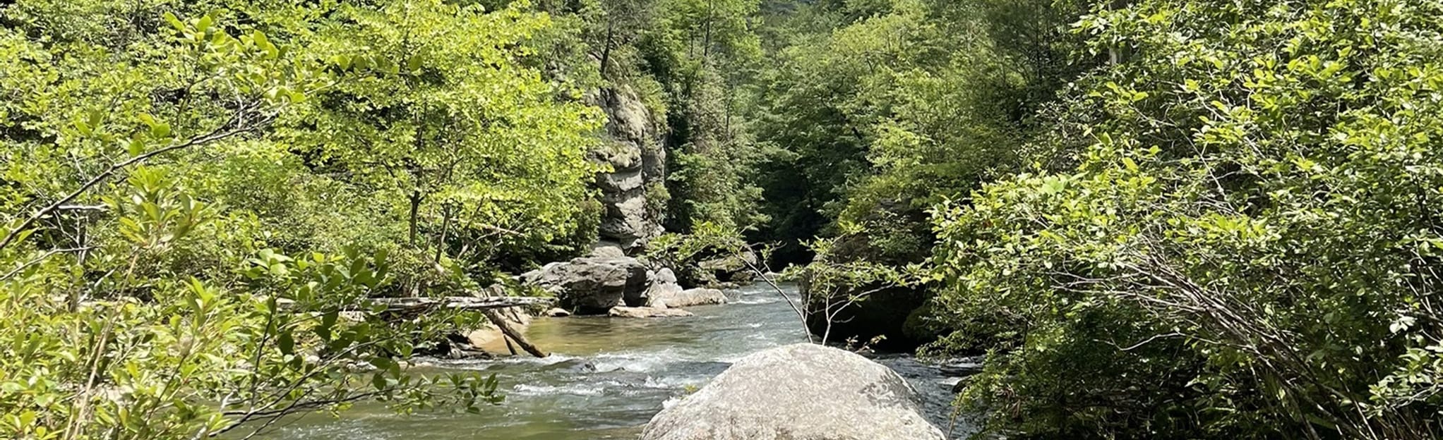 Three Forks Trail: 94 Reviews, Map - Georgia | AllTrails