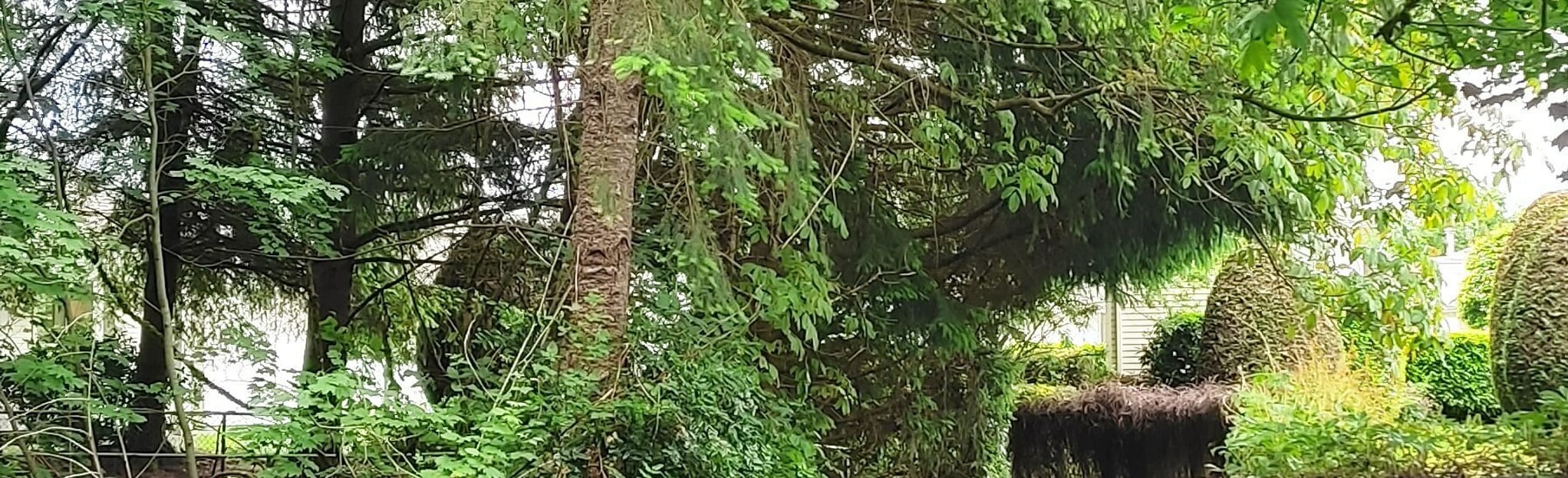 Walnut Grove Community Park: 33 Reviews, Map - British Columbia, Canada ...