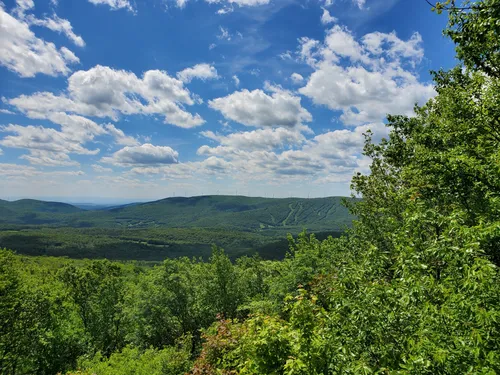 Best Easy Trails in Mount Greylock State Reservation | AllTrails