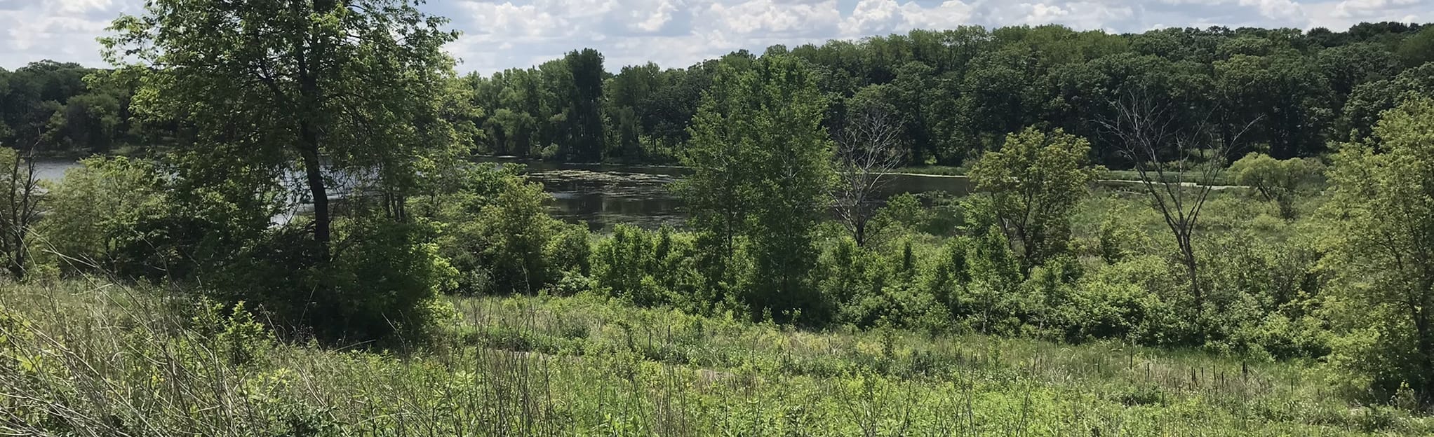 Empire Lake Loop: 283 Reviews, Map - Minnesota | AllTrails