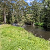 Warburton River Walk, Victoria, Australia - 168 Reviews, Map | AllTrails