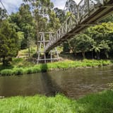 Warburton River Walk, Victoria, Australia - 168 Reviews, Map | AllTrails