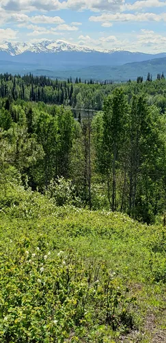 10 Best Trails and Hikes in Smithers | AllTrails