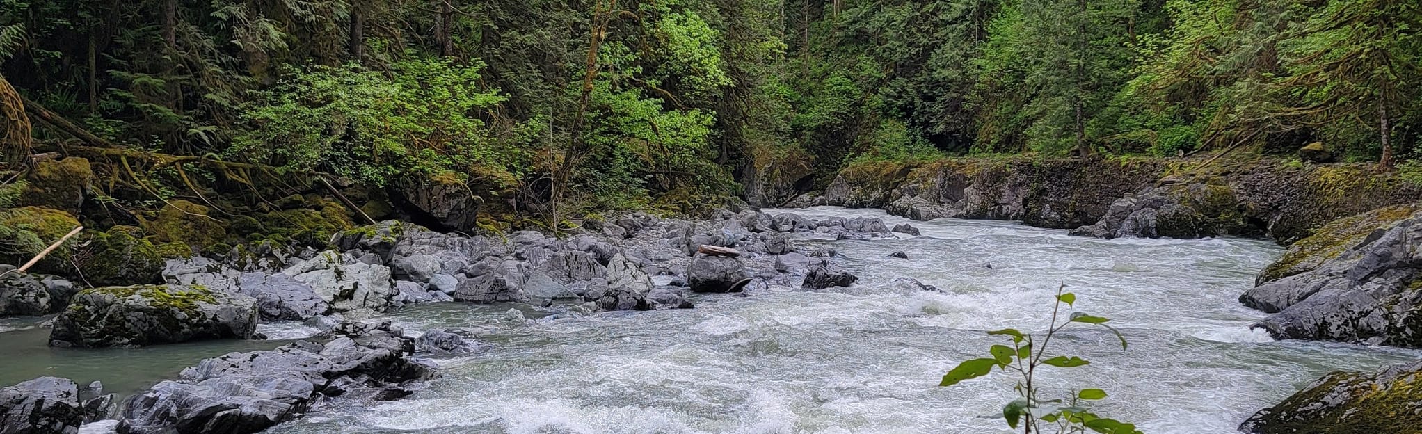 Robe Canyon Historic Trail, Washington - 850 Reviews, Map | AllTrails