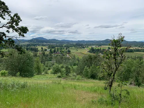 10 Best Trails and Hikes in Springfield | AllTrails