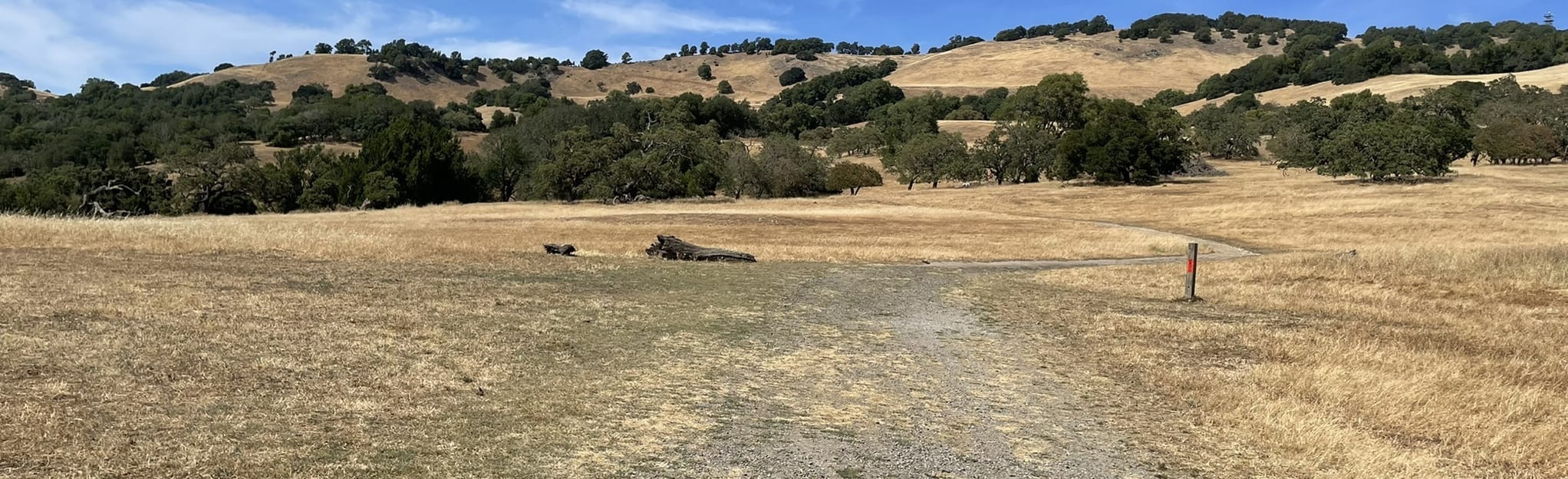 AllTrails | Michako Trail, San Carlos Fire Road, and Middle Burdell ...
