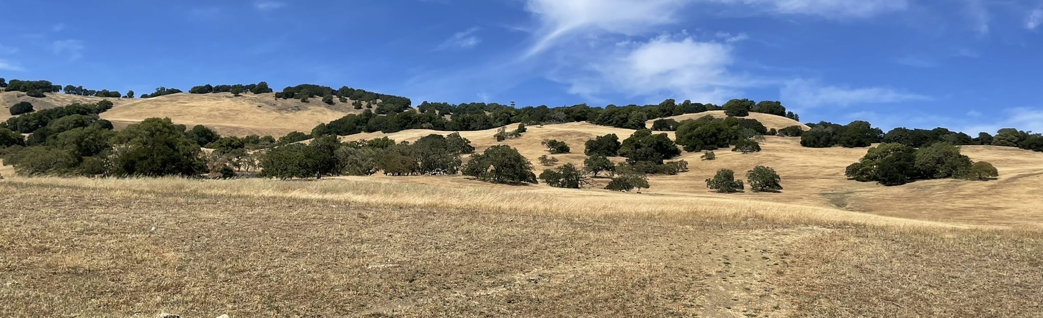 Bay Area Ridge Trail: Mount Burdell Open Space via Novato Blvd ...