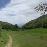 Spring Canyon Trail, Utah - 372 Reviews, Map | AllTrails