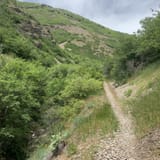 Spring Canyon Trail, Utah - 372 Reviews, Map | AllTrails