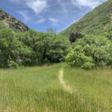 Spring Canyon Trail, Utah - 372 Reviews, Map | AllTrails